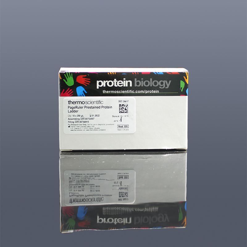Fermentas 26617 预染蛋白Ladder(10-180kDa) - 试剂仪器耗材