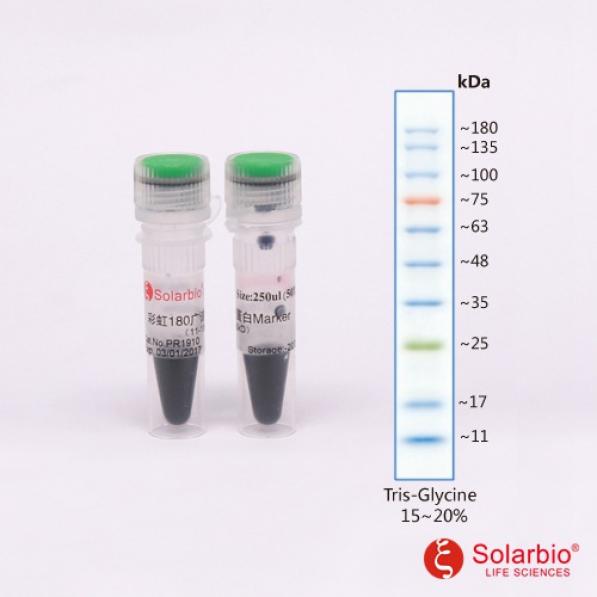 Solarbio PR1910 彩虹180广谱蛋白Marker（11-180KD) - 试剂仪器耗材