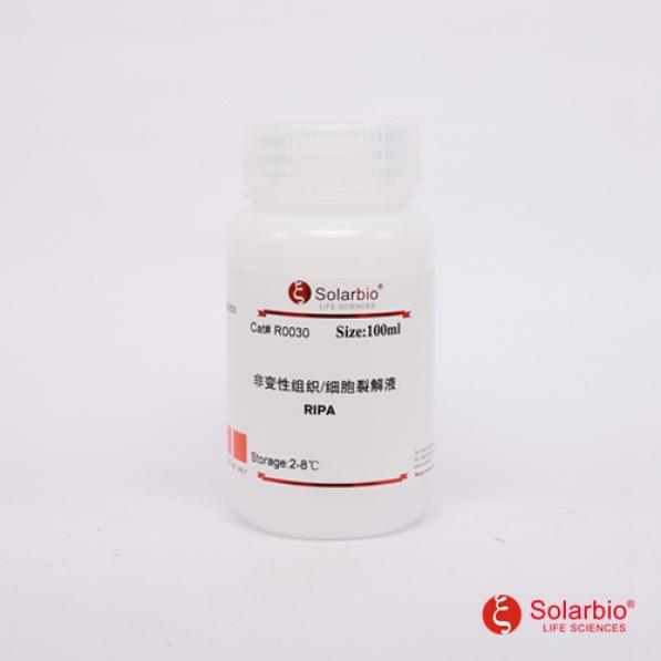 Solarbio R0010 高效RIPA裂解液(组织/细胞) - 优选快捷