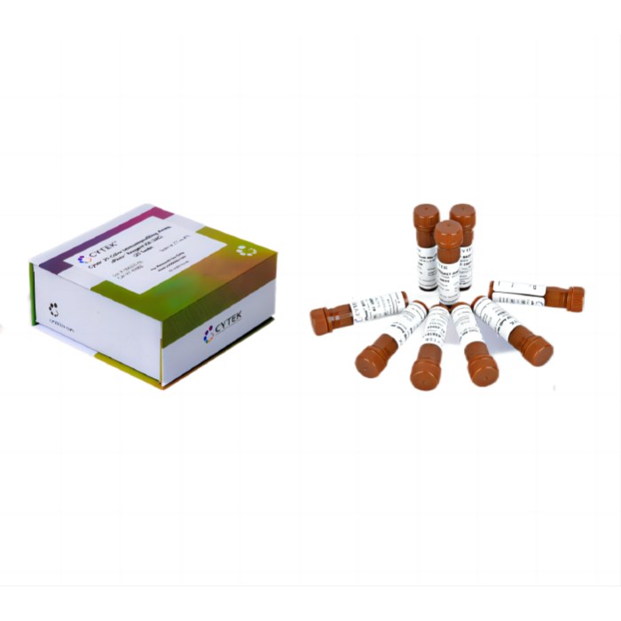 Tonbo 60-1172-U100 PE-Cyanine7 Anti-Mouse CD117 (c-Kit) (ACK2) - 试剂仪器耗材