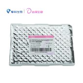 达领 DLC106 DL-Stbl3 Chemically Competent Cell - 试剂仪器耗材